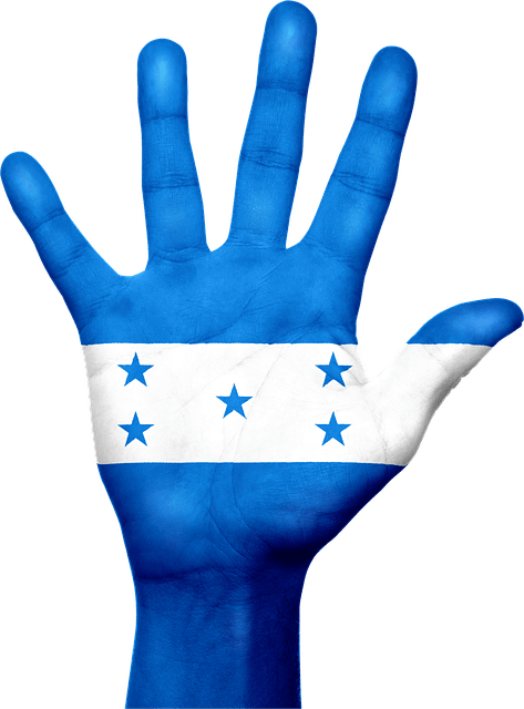Take Action in Defense of Democracy in Honduras » Quixote Center